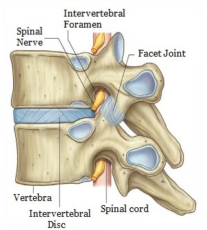 Arm Nerve Pain: Causes, Symptoms & Treatment