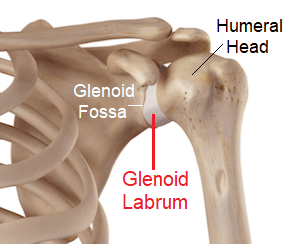 Shoulder Labrum Tear: Causes, Symptoms & Treatment
