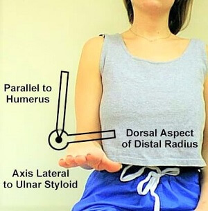 Elbow Flexion Goniometry